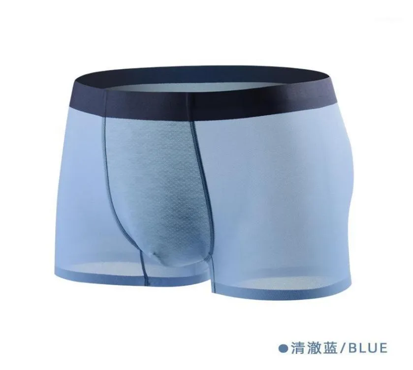 Underwear Men Calzoncillos Hombre Man Underwear Mens Briefs