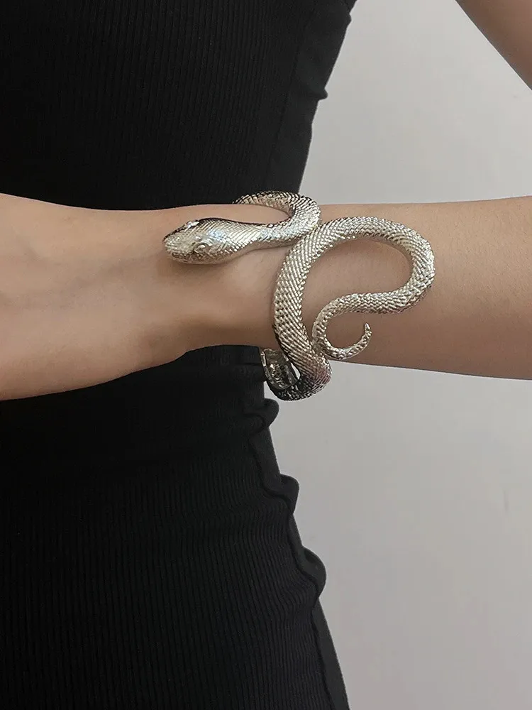 Snake Coil Unisex Leather and Metal Bracelet with Diamond Stone, Silver ...