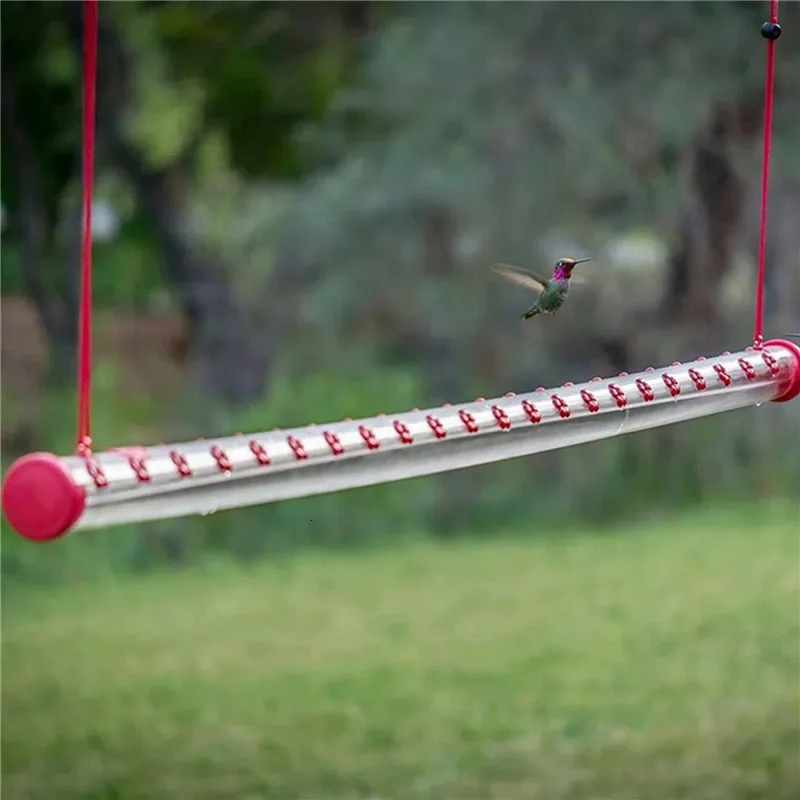 Feeder De Colibri À Tuyaux Transparents Pour Une Alimentation Des ...