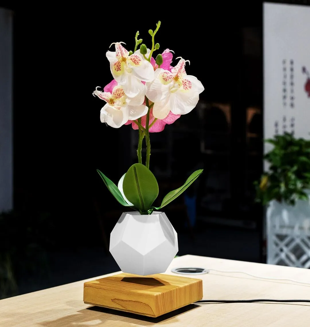 DHgate.com:20pcs Levitating Plant Pot, Unique Floating Plant Pot, Magic ...