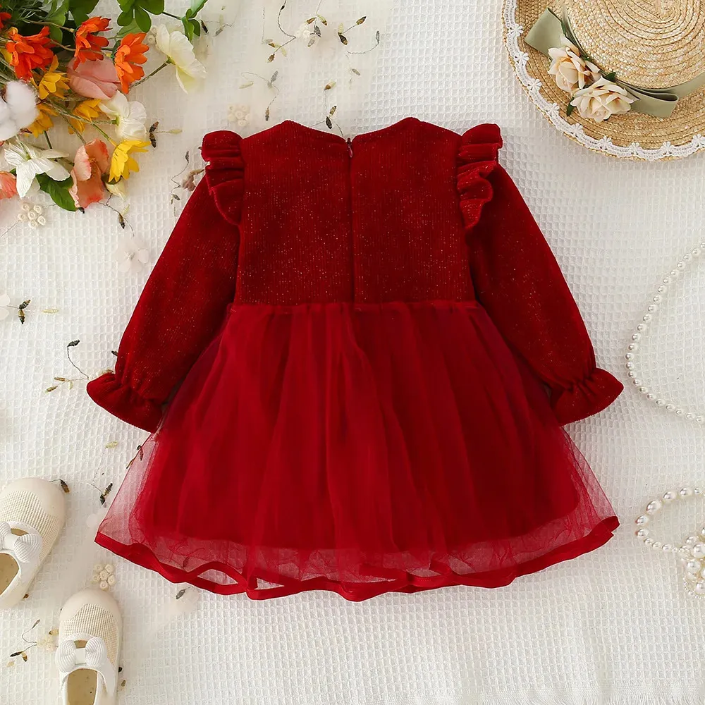 Born Baby Princess Dress, Autumn Winter Long Sleeve Bow Cotton Girl ...