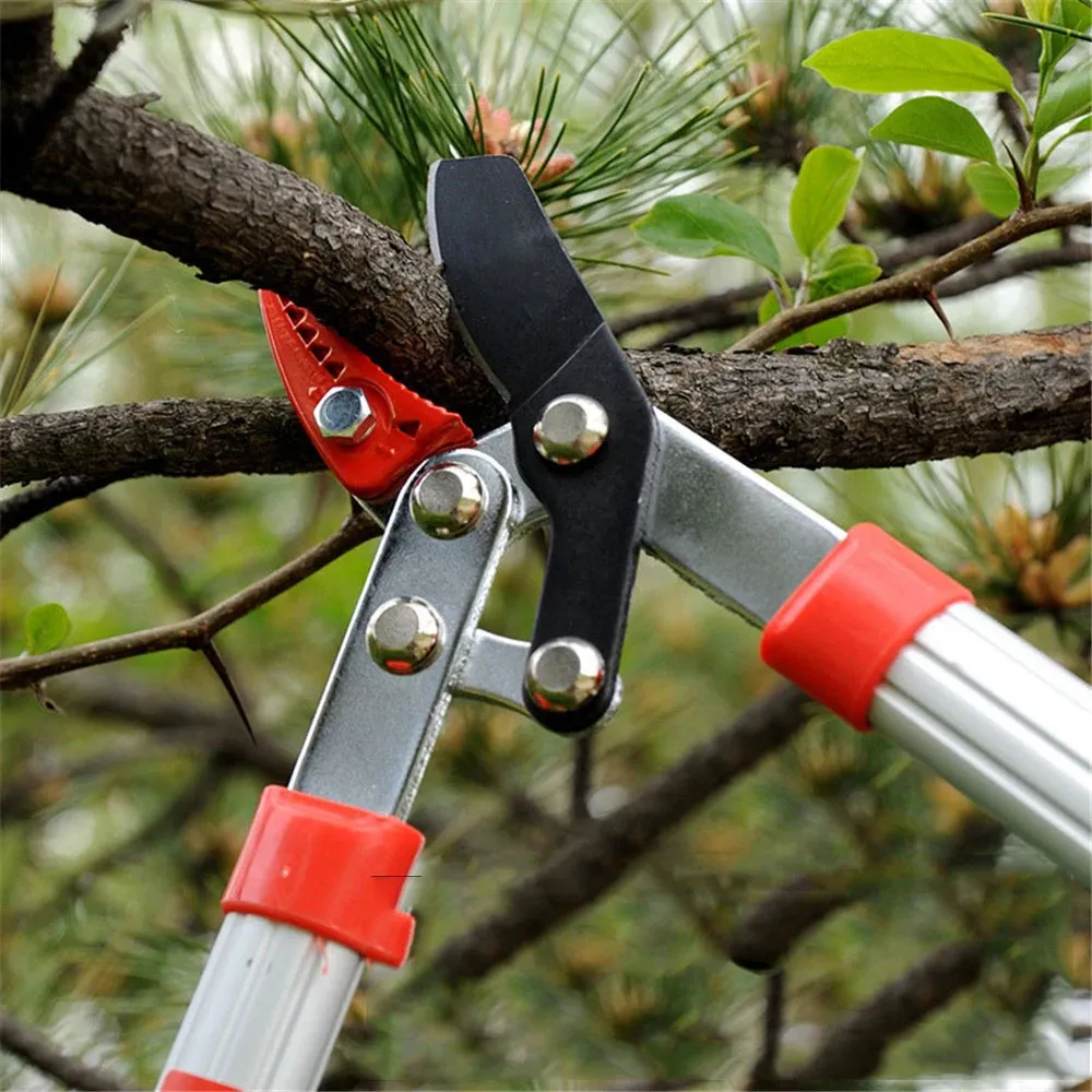 DHgate.com:Anti-Slip Telescopic Tree Pruner, Ratchet Lopper Pruner ...