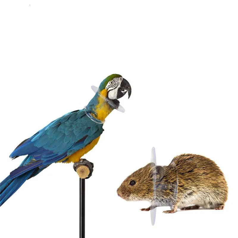 Bird Collar - Anti-Pecking Parrot Collar, Protective Pet Collar for ...