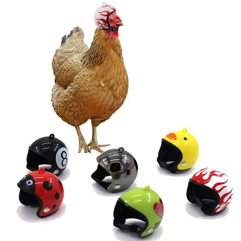 Wholesale Chicken Accessories: Safety Helmet For Hens Funny Bird Hat ...