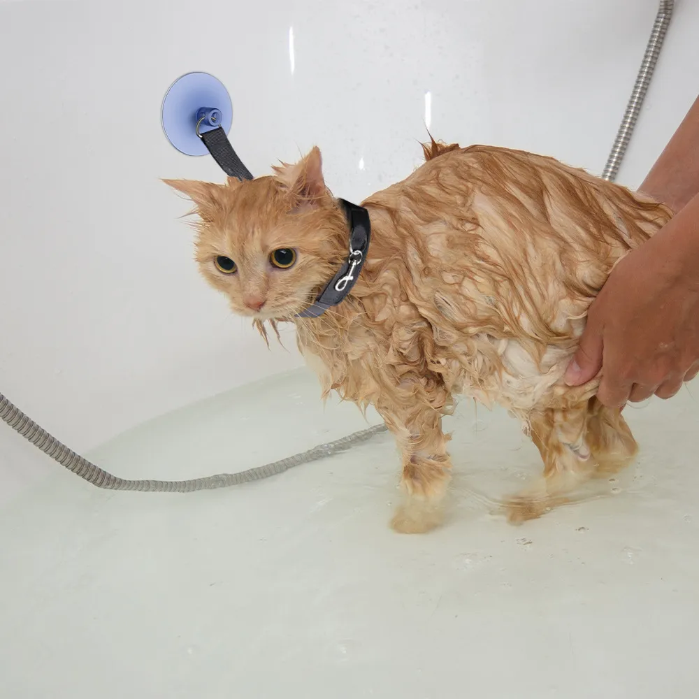 Dog Bath Tether with Suction Cup - Pet Grooming Leash, Adjustable ...