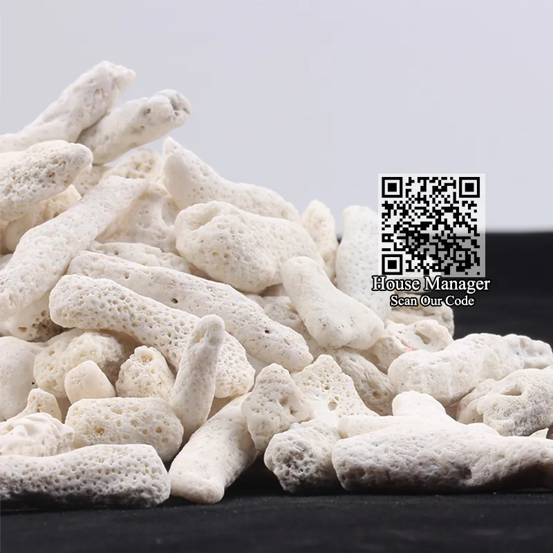 DHgate.com:Natural Coral Shell Biocycle Medium for Aquarium Filtration ...