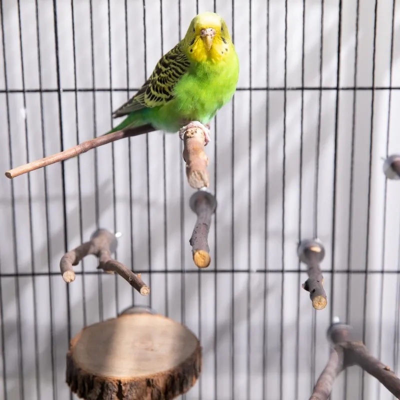 Bird Toy 2-Pack Natural Grapevine Perches For Small Parrots - Cage Toys ...