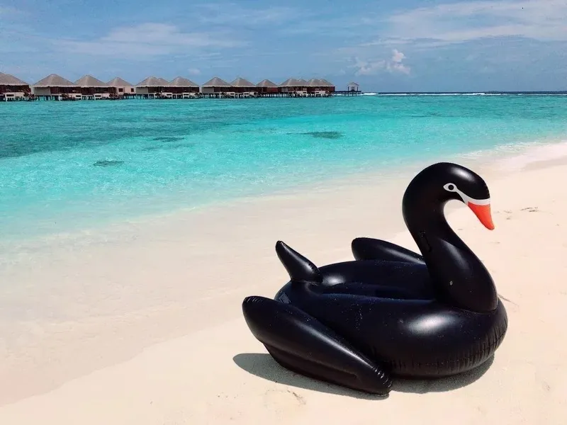 DHgate.com:Black Swan Pool Float Inflatable Ride-On Water Fun Swimming ...