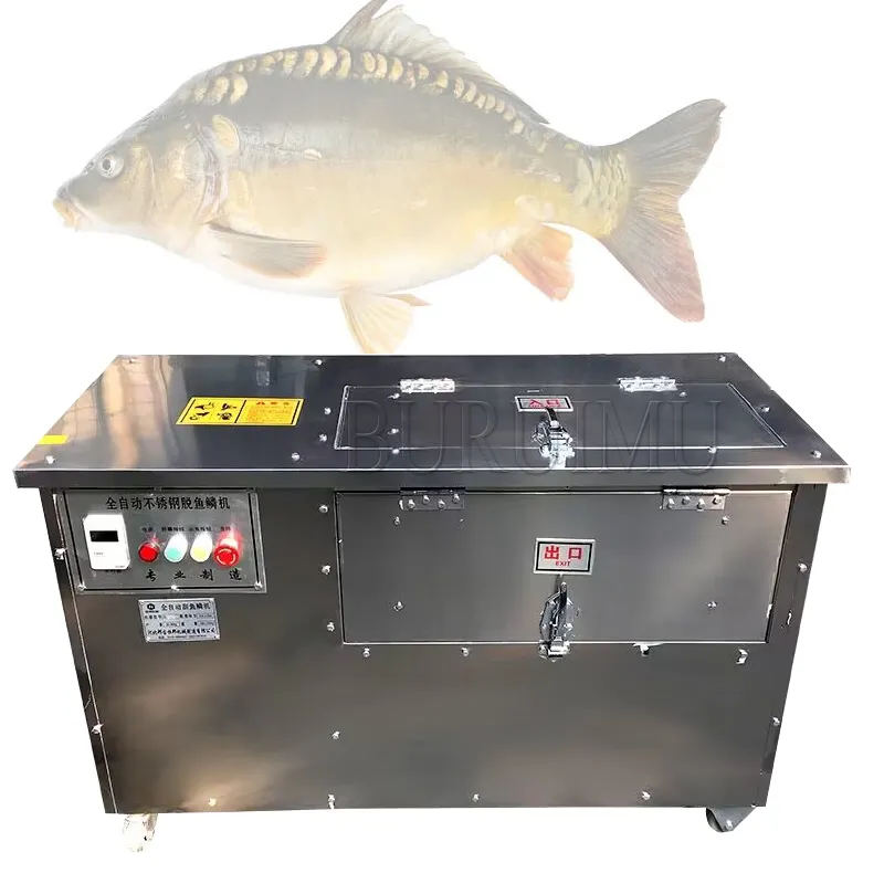 Fish Scaling Machine: Efficient Stainless Steel Fish Scale Remover For ...