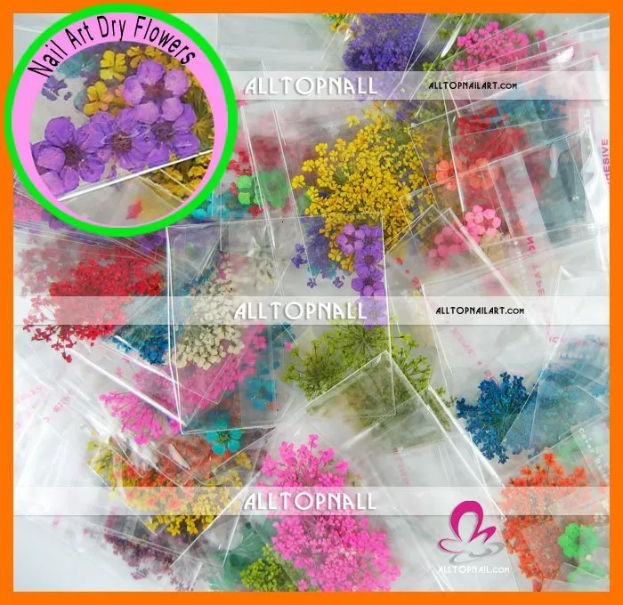 DHgate.com:20 Pack A-Grade Real Flower Nail Art Decorations, Assorted ...