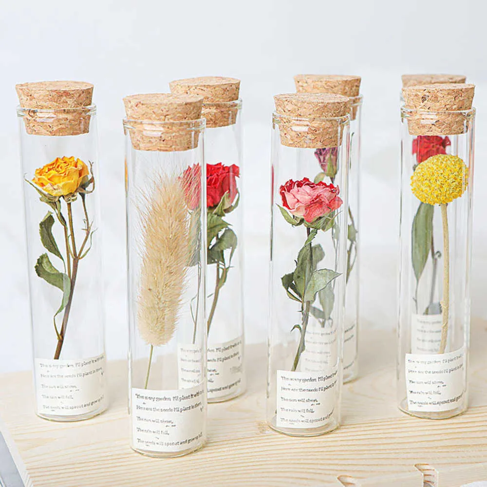 DHgate.com:Natural Dried Flowers in Glass Tube: Unique Floral Decor for ...