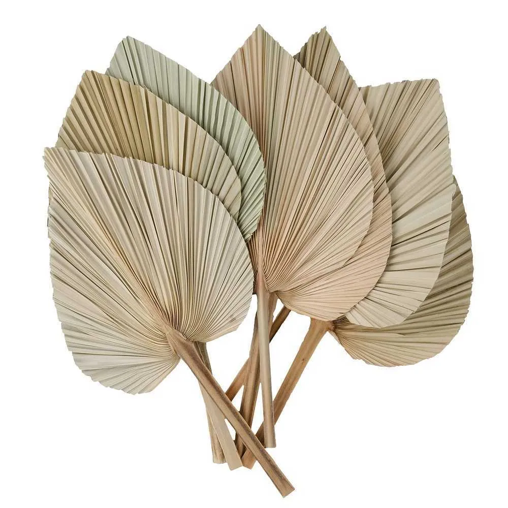 DHgate.com:Bleached Natural Dried Palm Leaves for Wedding Floral Decor ...