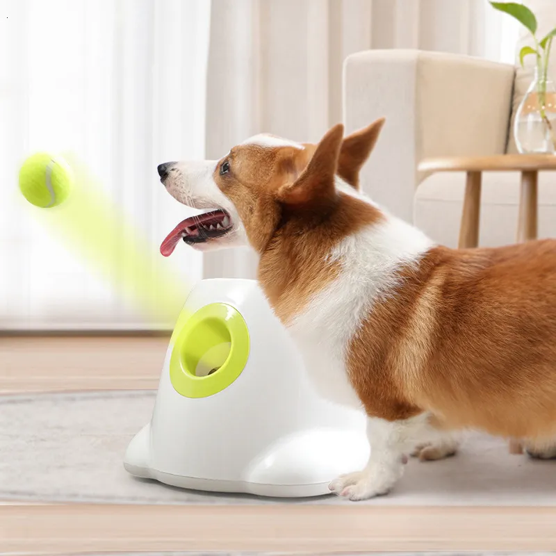 DHgate.com:Automatic Dog Tennis Ball Launcher - 369m Range, 3 Balls Included, Pet Training ...