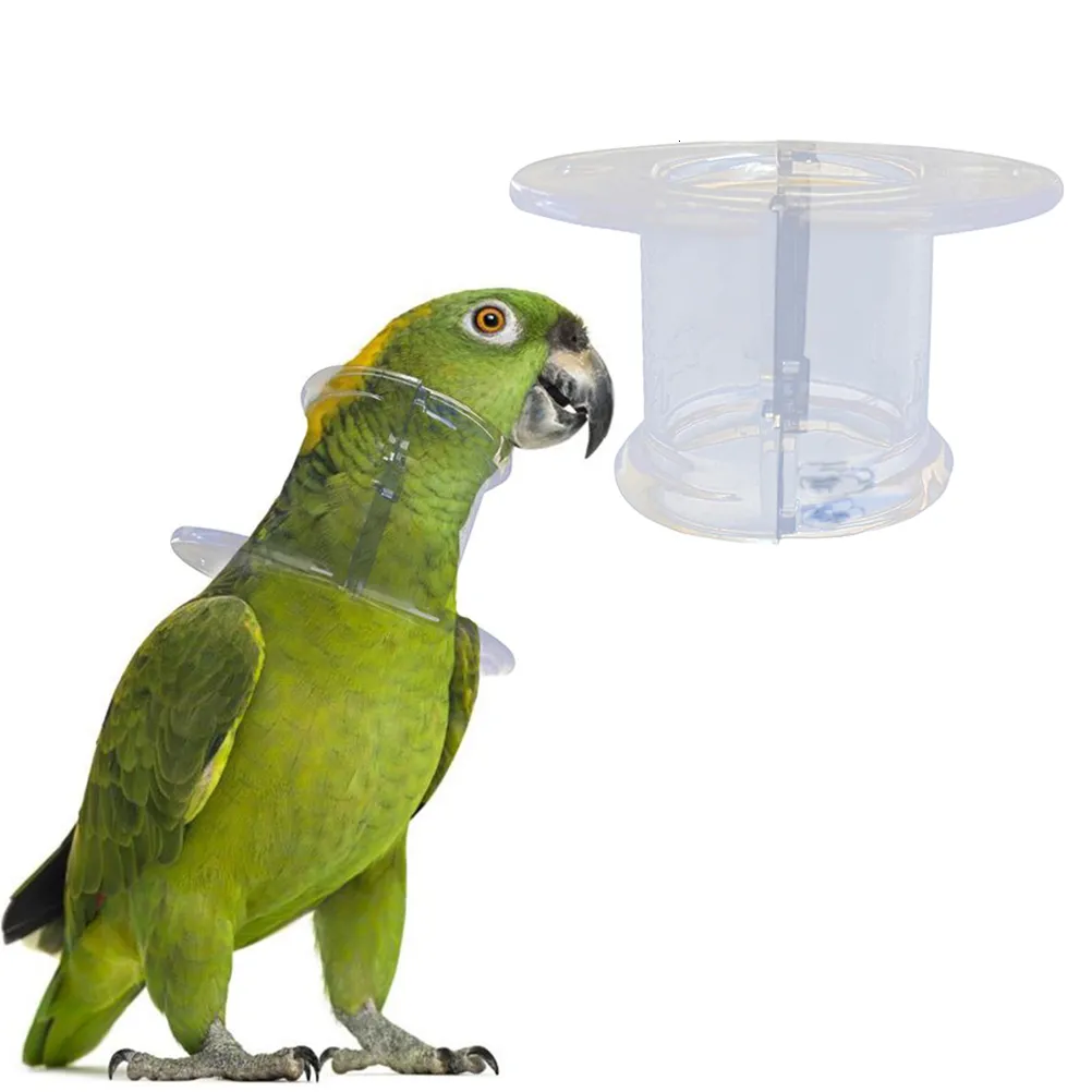 DHgate.com:Bird Antibite Collar for Severe Parrot Feather Plucking ...