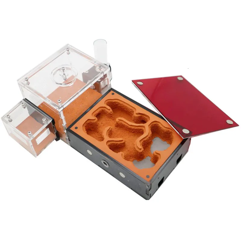 DHgate.com:Acrylic Ant Farm with Drinking Bowl for Ants, Ecological Ant ...