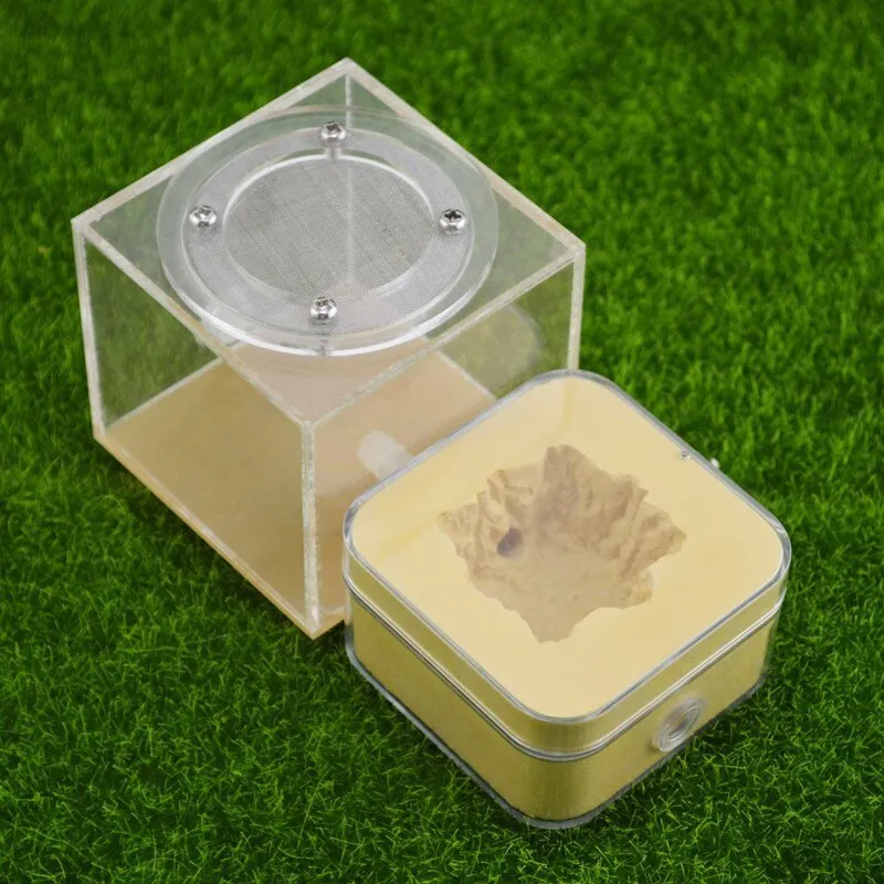 DHgate.com:Transparent Acrylic Ant Farm for Observing Insects with ...
