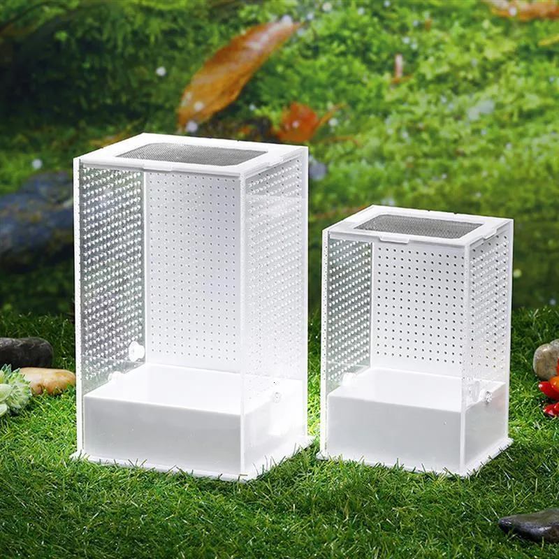 DHgate.com:Acrylic Insect Breeding Box - Mantis Feeding Landscape ...