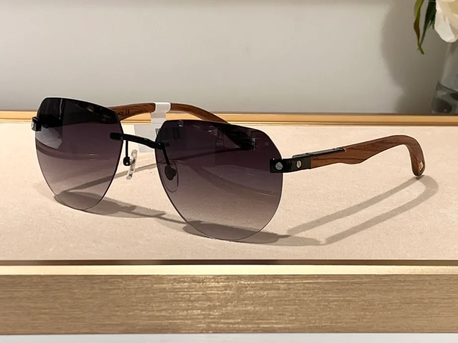 Sunglasses For Men And Women Designers 0288S Style Anti Ultraviolet ...