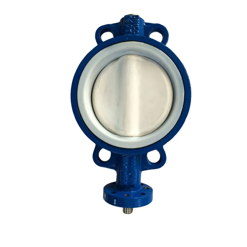 Wholesale Customizable Ductile Iron Valve Castings Dometic Replacement ...