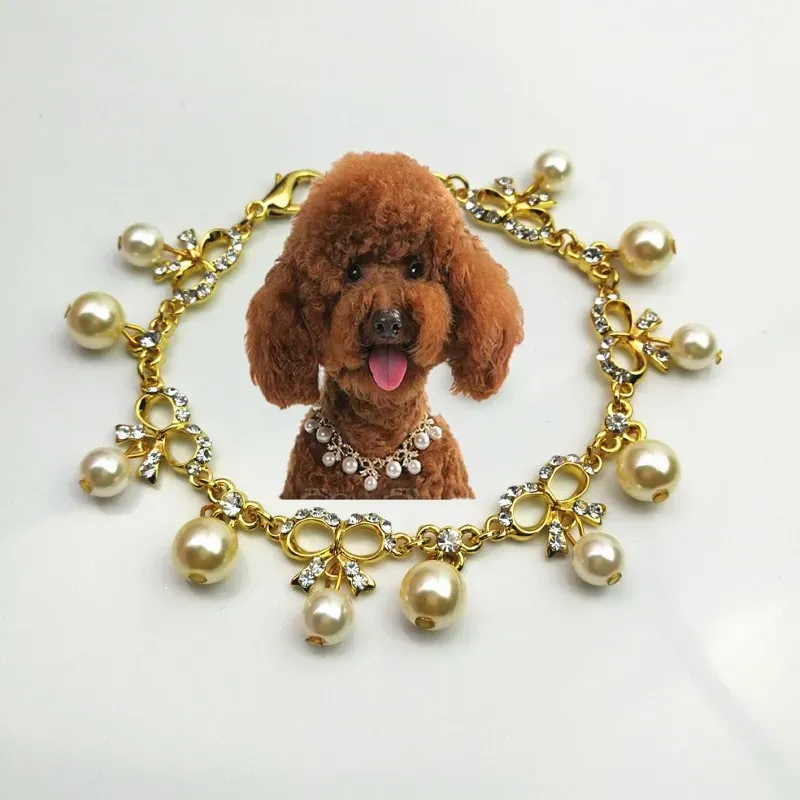 Elegant Pearl Pet Necklace - Jeweled Collar for Small Dogs & Cats ...
