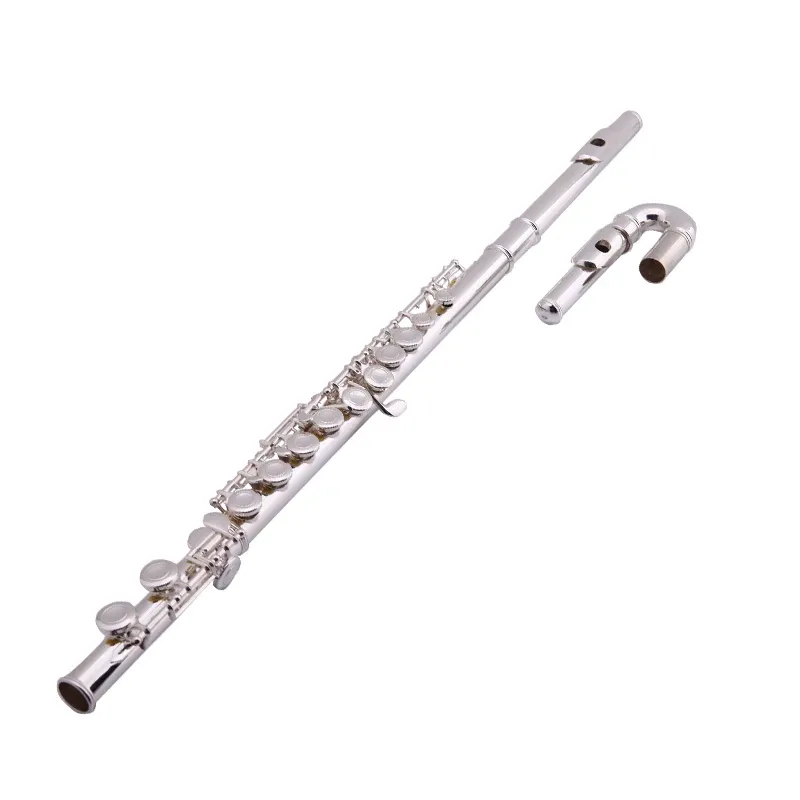 Professional C Flute - Curved Headjoint, Split E, 16 Keys, Closed Hole ...