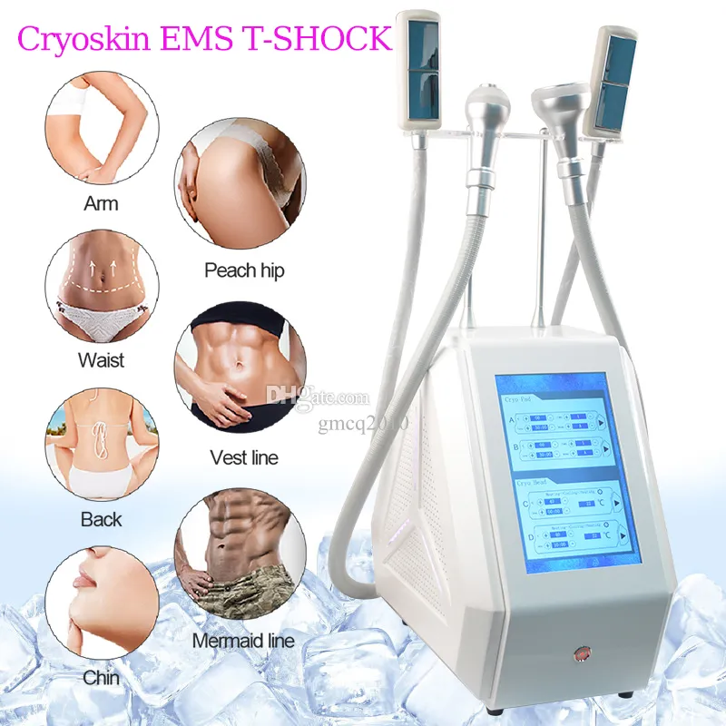 2024 Cryoskin Fat Freezing EMS Cool Skin Cryopad For Body Slimming From ...