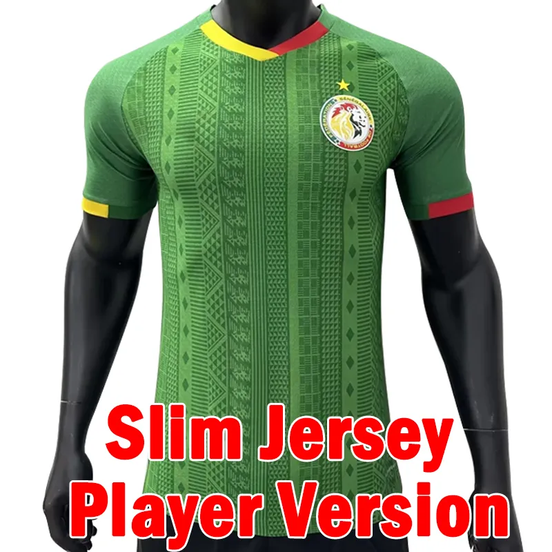 Senegal Senegal World Cup Jersey EURO National Football Team 2023 2024 ...
