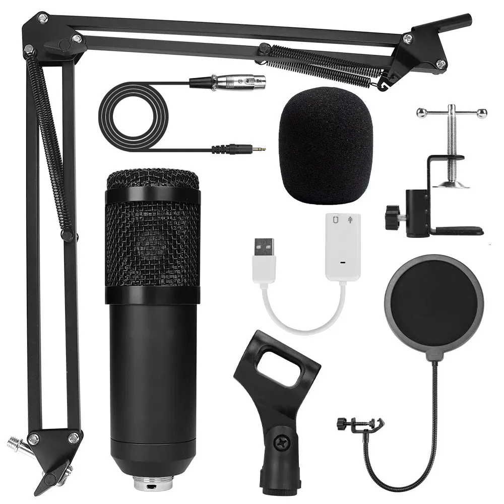 Studio Recording Microphone: Professional Condenser Sound Mic for ...
