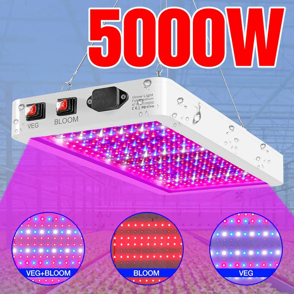 Grow Lights Full Spectrum LED Panel: Indoor Plant Growth Bulb For ...