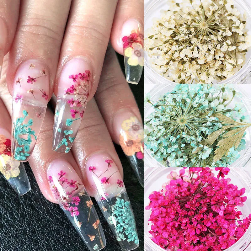Real Dried Flower Nail Art Decorations DIY Manicure Charms for Nails 10Pcs box 3D Dried Flowers Nail Stickers