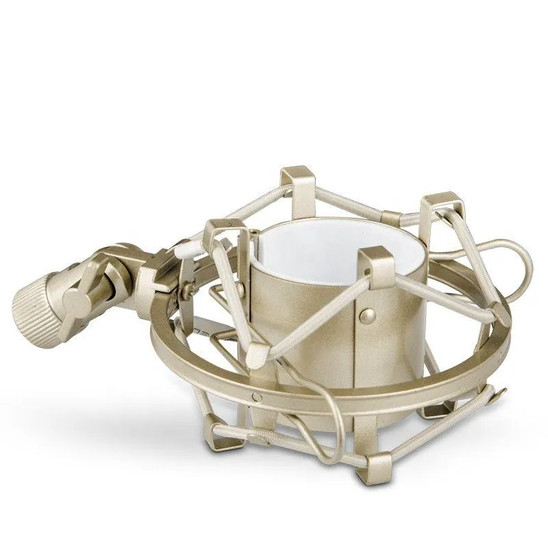 Studio Microphone Set U87 Style Condenser Microphone: Large Diaphragm ...