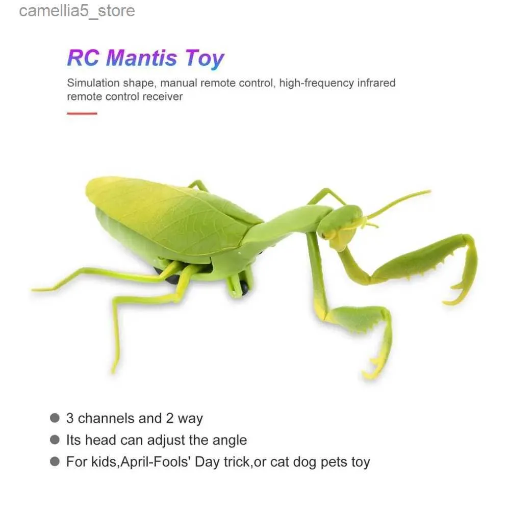 DHgate.com:Realistic Infrared Remote Control Mantis Prank Toy:Toys & Gifts