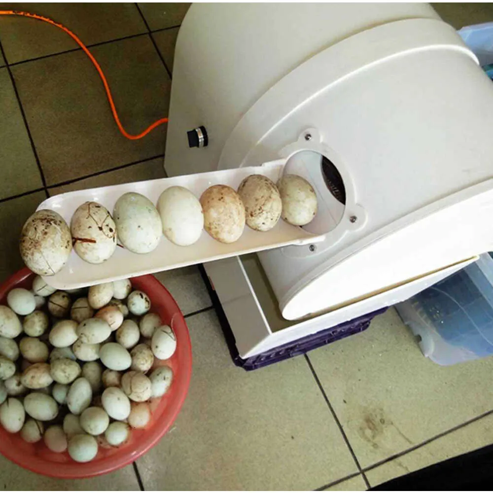 Automatic Egg Washer Machine: Low Price Duck Egg Cleaner For Efficient ...