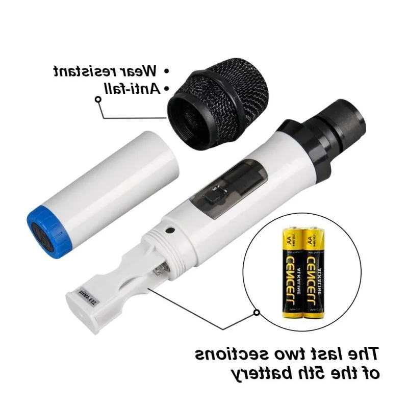Wireless Microphone Cordless Dynamic Handheld Mic With Receiver And ...