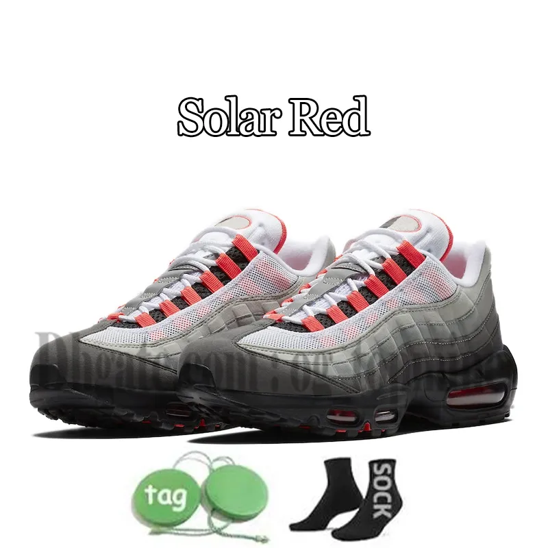 Solar Sport Running Shoes: Stylish, Comfortable & Durable For Outdoor ...