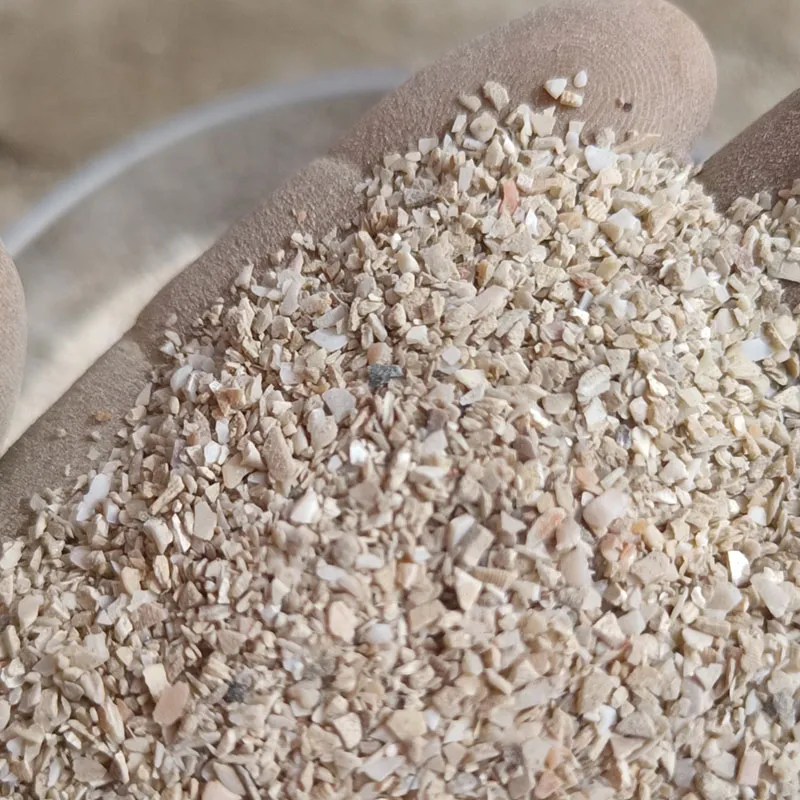 DHgate.com:2mm Poultry Shell Powder - Calcium Supplement for Chickens ...