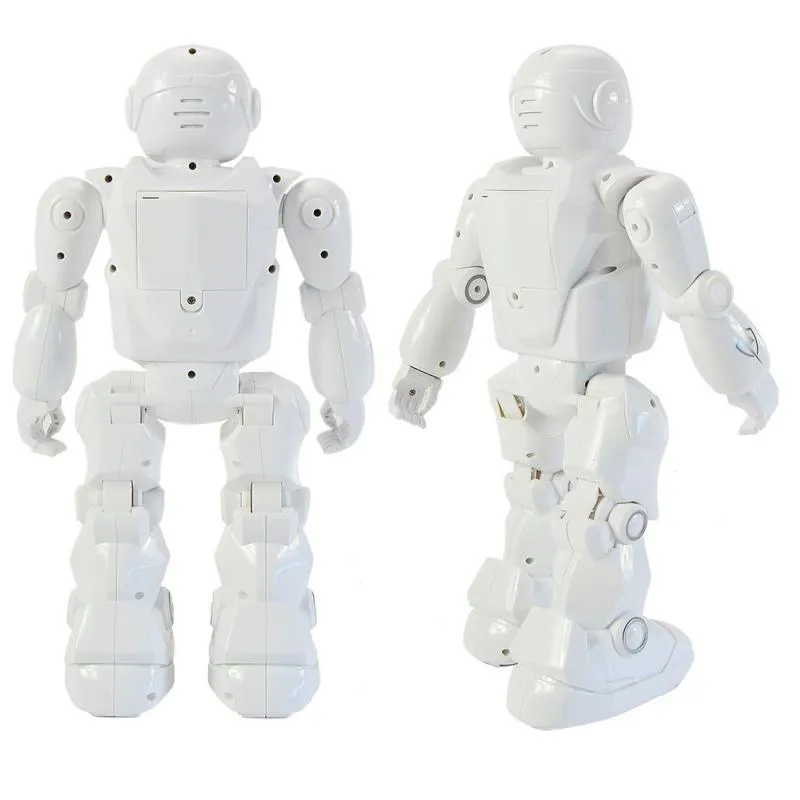 RC Robots Smart Companion: Interactive Infrared Gesture Control Robot ...