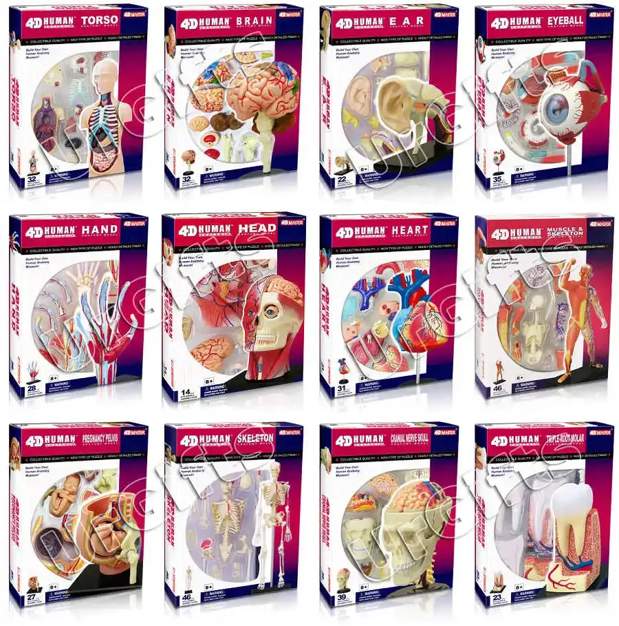 DIY 4D Manual Manicure Kit With Unique 3d Body Art And Personalized ...