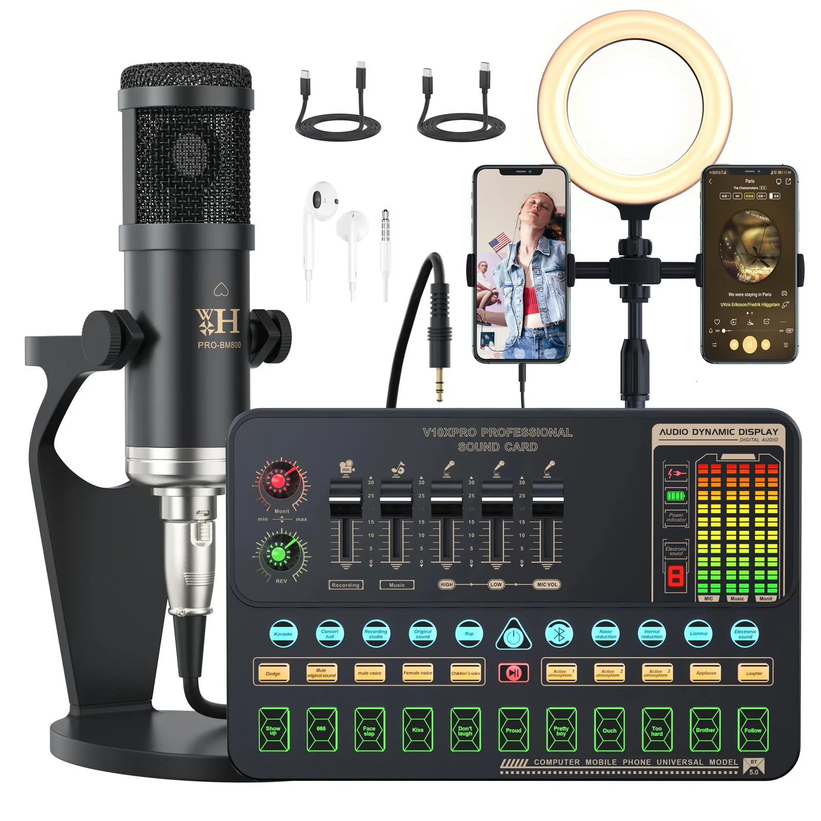 PRO BM800 Microphone Sound Card Set Professional Studio Condenser Mic ...