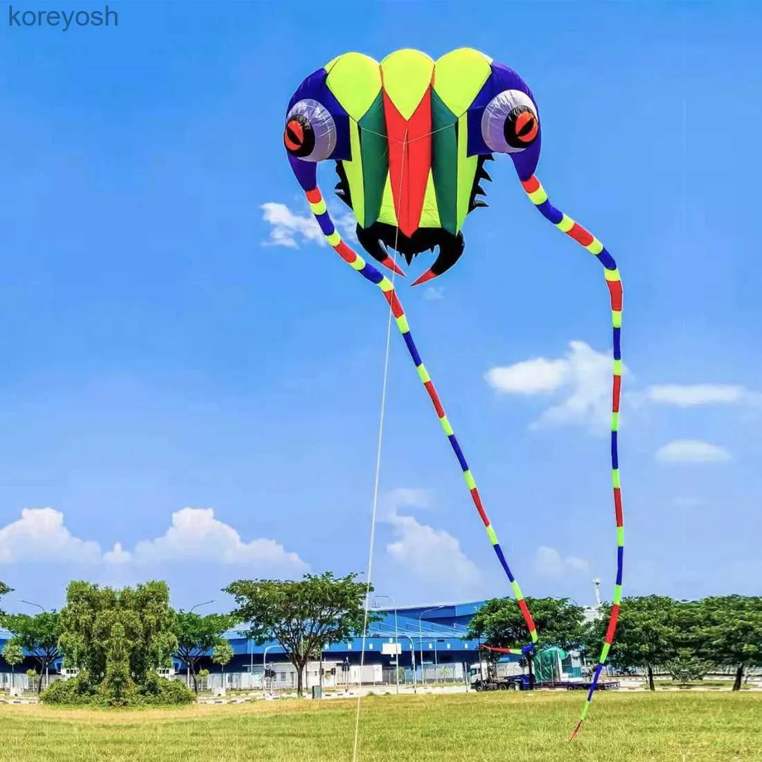 DHgate.com:9KM 7sqm Trilobite Kite with Bag - Pilot Lifter Line Laundry ...