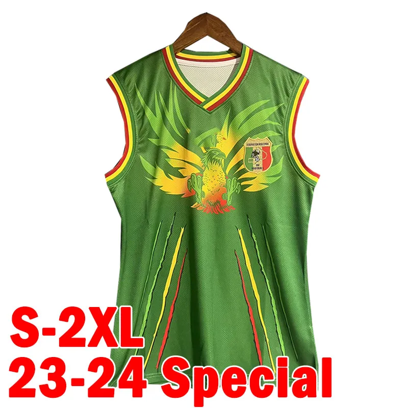 23 24 Mali Soccer Jerseys National Team 22 23 Fans Player Version ...