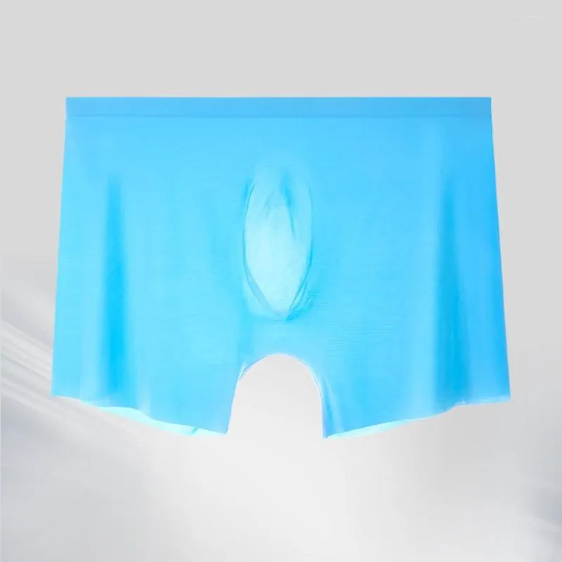 DHgate.com:Sexy Transparent Ice Silk Boxer Briefs for Men, Front Convex ...