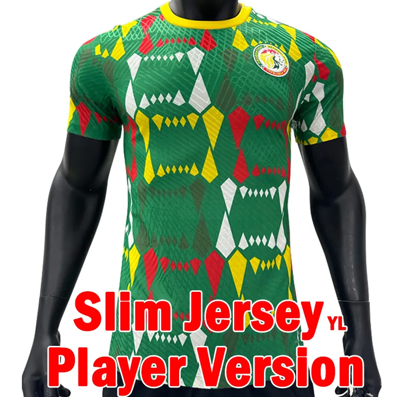 Senegal Senegal World Cup Jersey EURO National Football Team 2023 2024 ...