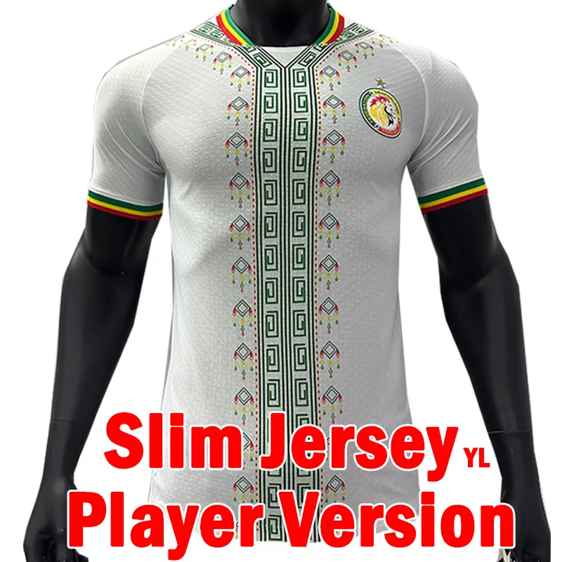 Senegal Senegal World Cup Jersey EURO National Football Team 2023 2024 ...