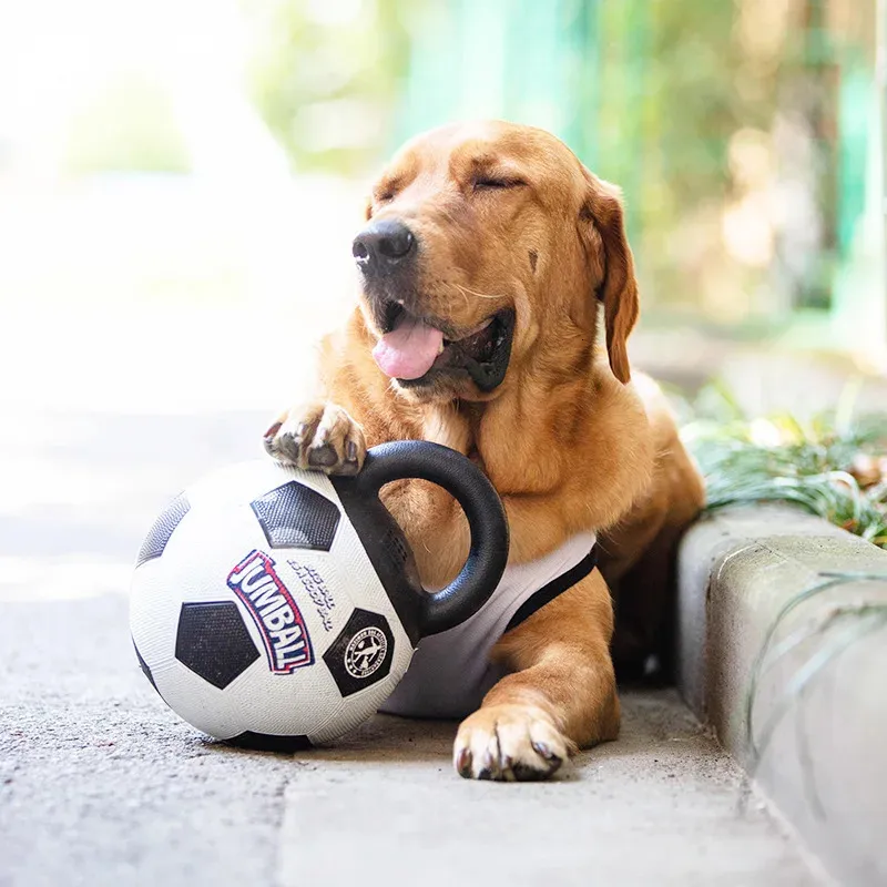 Large Dog Football Toy - Inflatable, Durable Chew Ball with Handle for ...