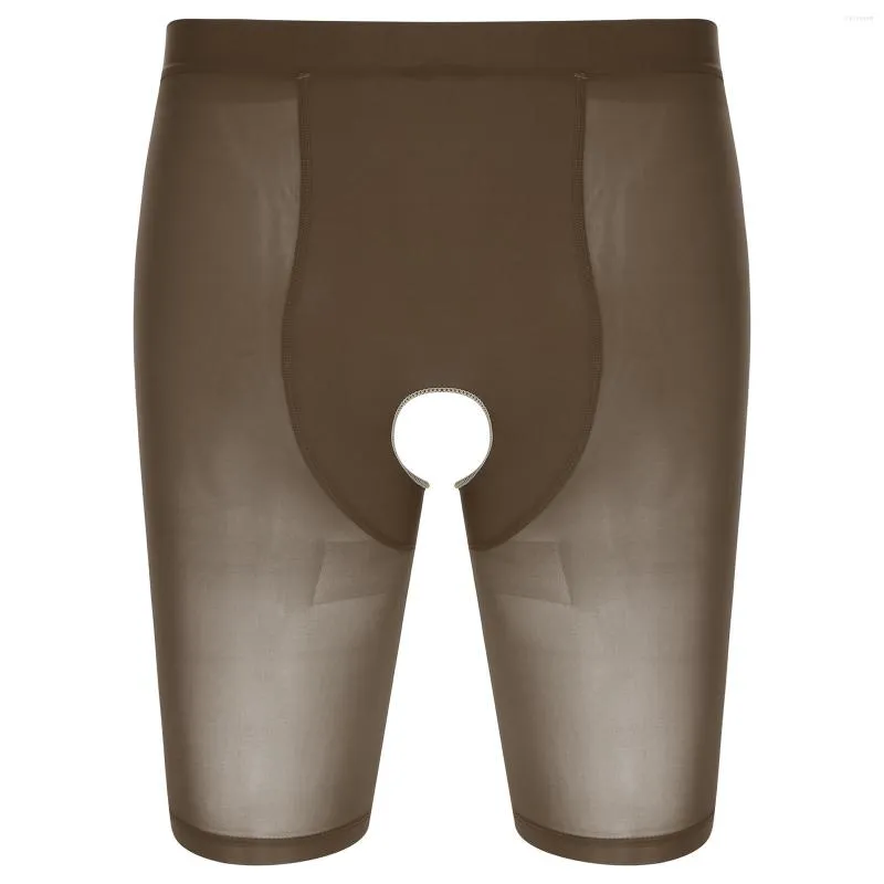 Men's Stretchy See Through Boxer Mens Sheer Briefs With Bulge Pouch And ...