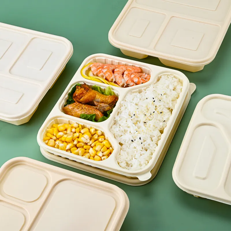 Eco-Friendly Takeout Containers - Degradable Disposable Food Boxes ...