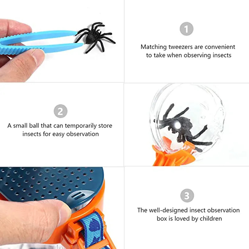 Toy Bugs And Insects Observation Kit: Outdoor Exploration Set With ...