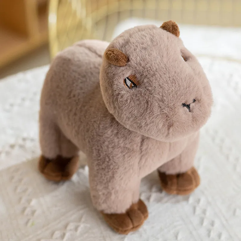 20 Cm Capybara Pluce Toy Duvel De Simulation Douce Pour Les Enfants Du $8.04 | DHgate