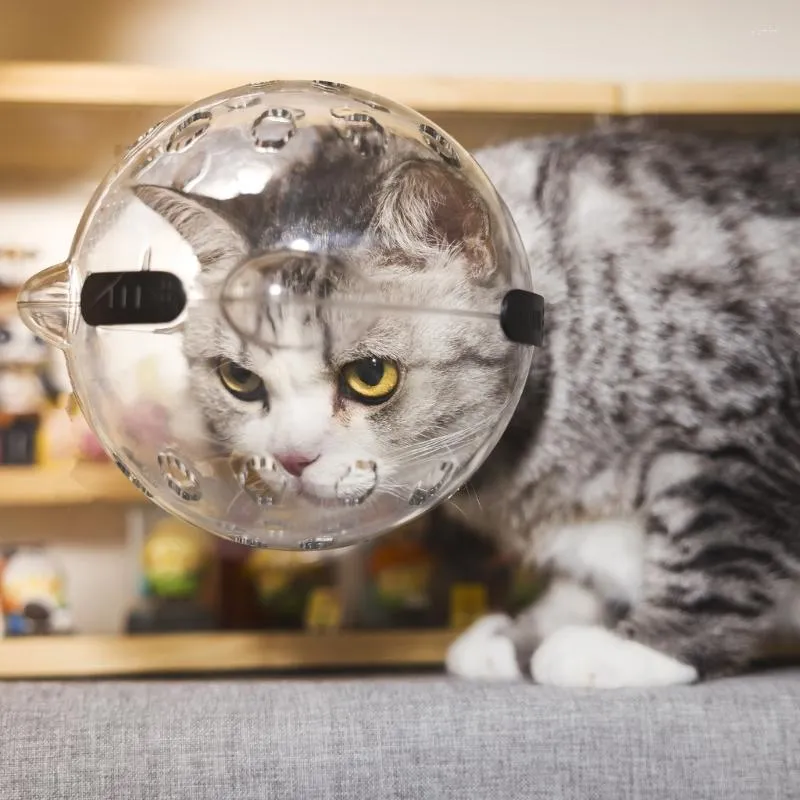 DHgate.com:Breathable Anti-Bite Transparent Cat Grooming Hood Mask for ...